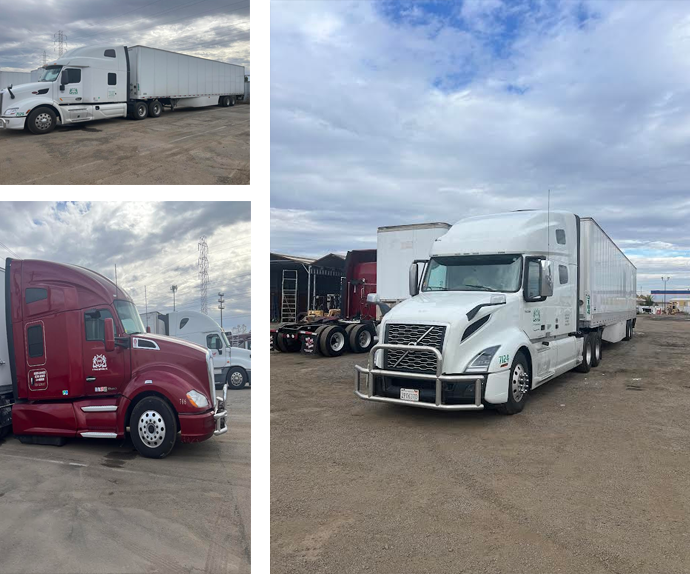 M TRANS SERVICES ,INC